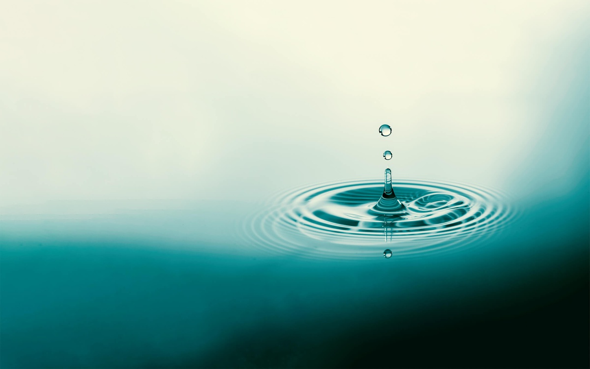 Literature and History Annual Public Conference 2023 - September ...