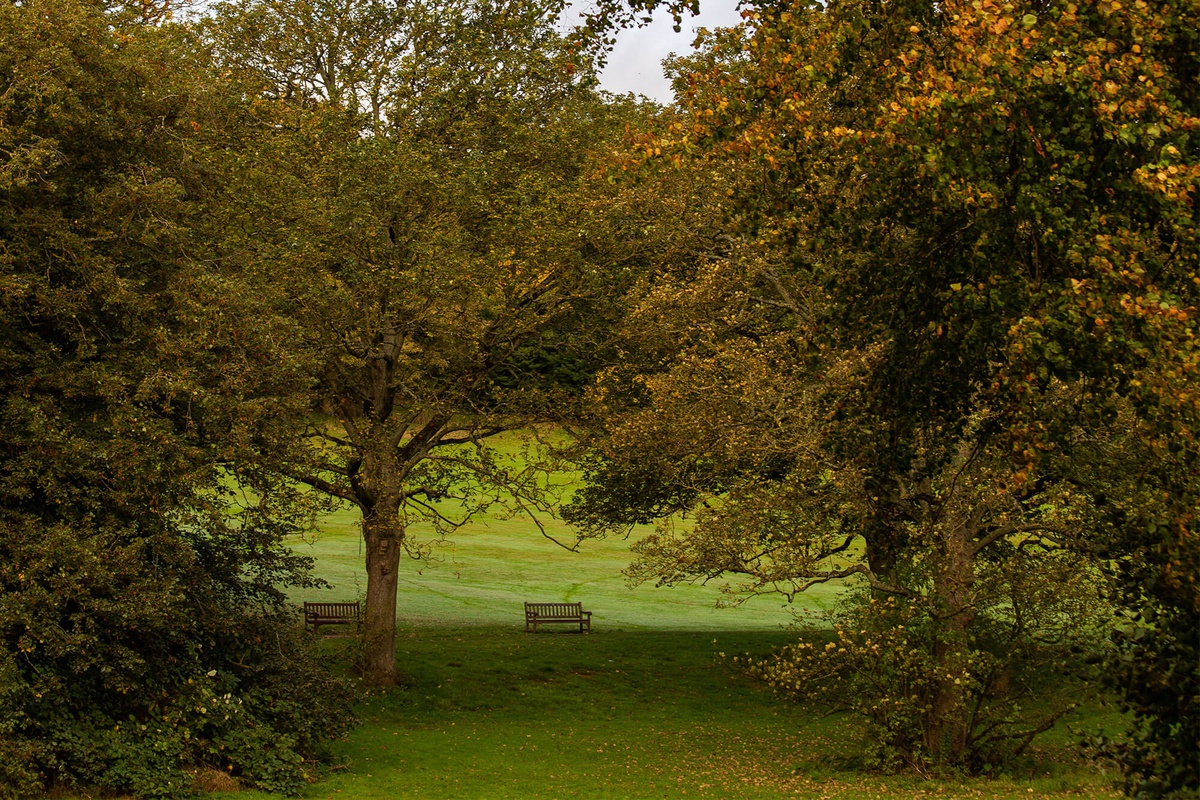 Derby parks get the green flag - Nov - University of Derby