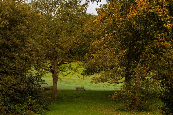Derby parks get the green flag - Nov - University of Derby