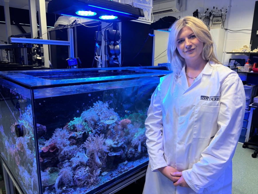 Researchers unveil new AI-driven system set to transform coral reef ...